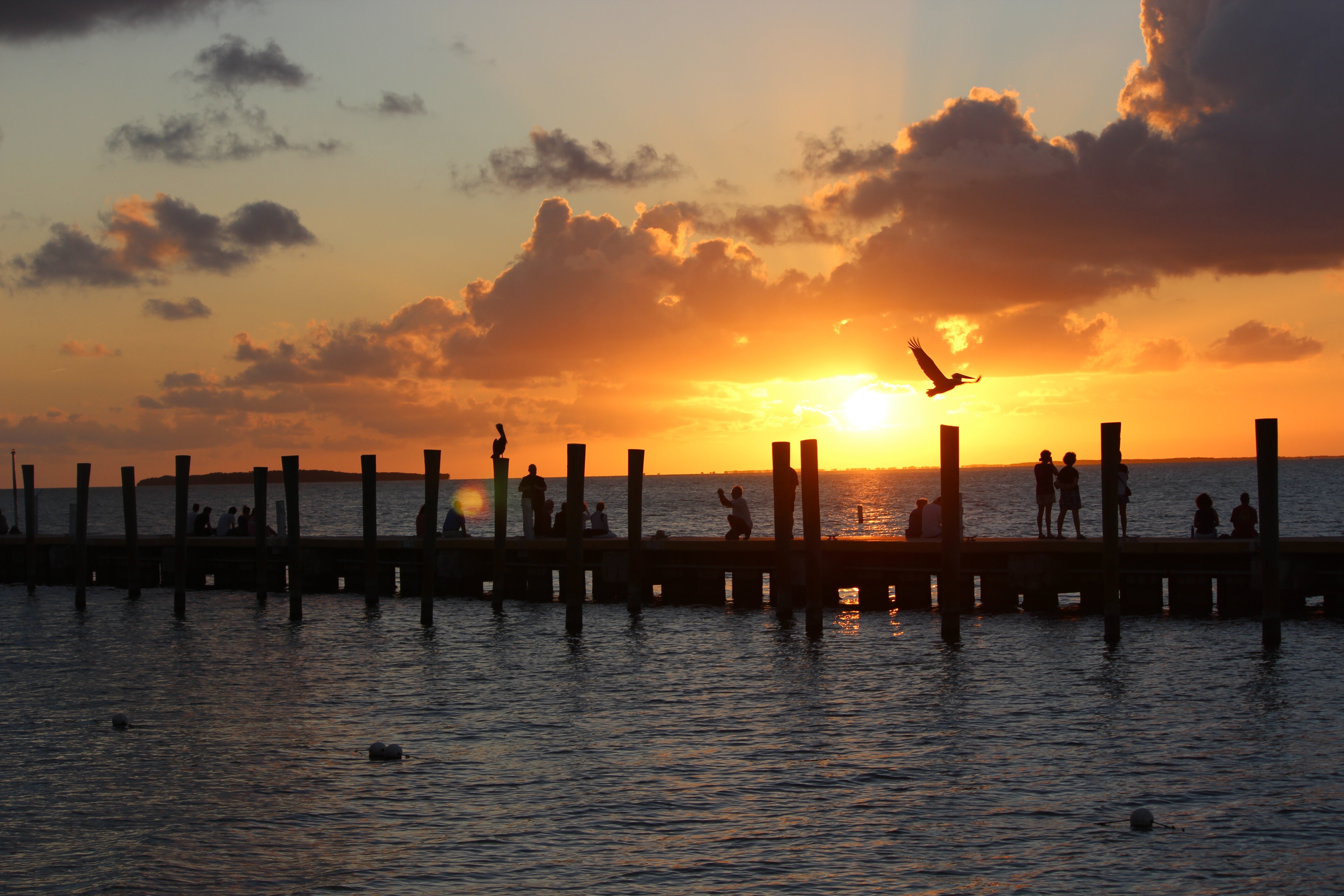 Florida Fishing Tide Charts – Reef & Reel